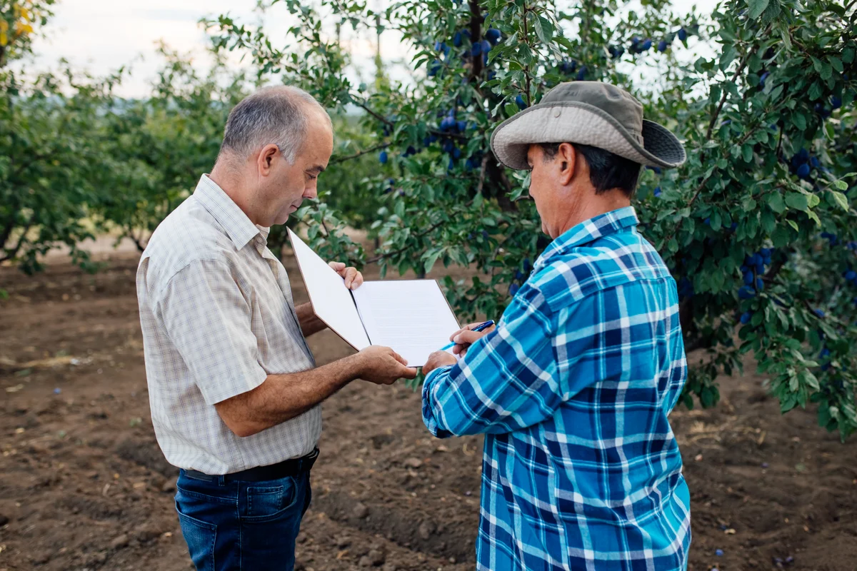 What is a Turnkey Orchard, and How is it Set Up? - Güneysu Teknik
